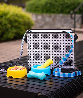 SCOUT Bags | Everything You Need, All in One Bag