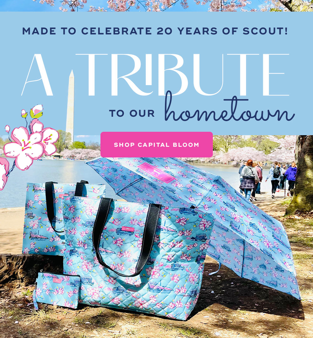 SCOUT Bags | Everything You Need, All in One Bag