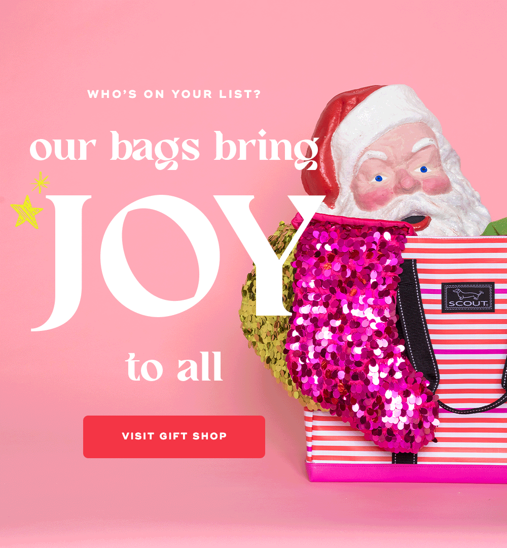 SCOUT Bags | Everything You Need, All in One Bag