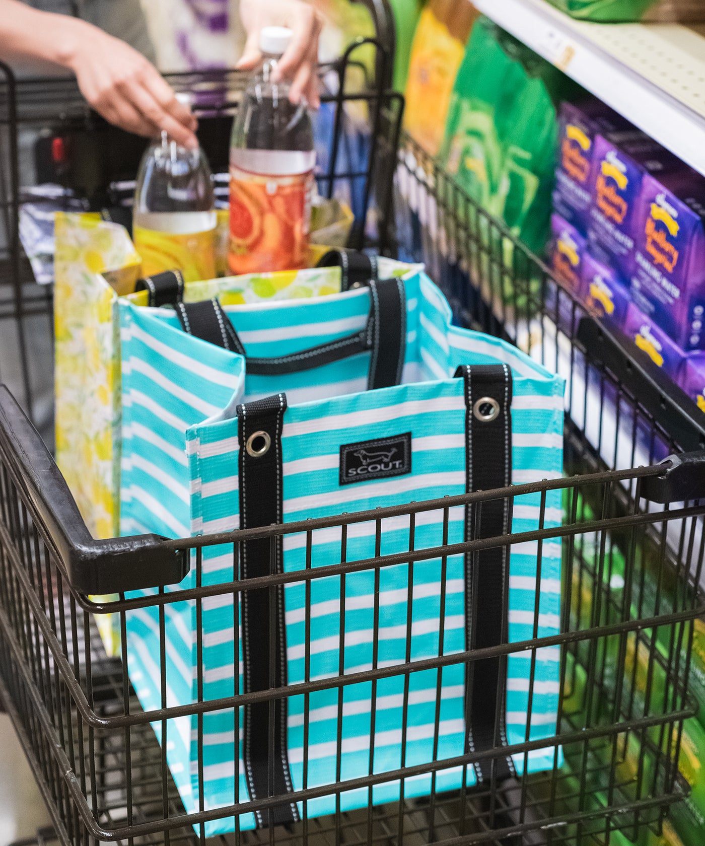 Bagette Bundle